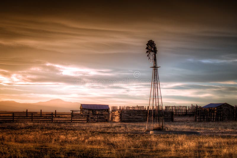 14,675 Cattle Sunset Stock Photos - Free & Royalty-Free Stock Photos ...