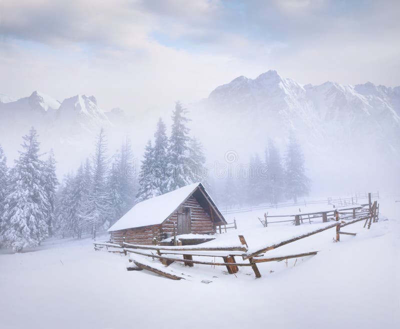 Foggy Winter Morning in Mountains Stock Image - Image of cold, color ...