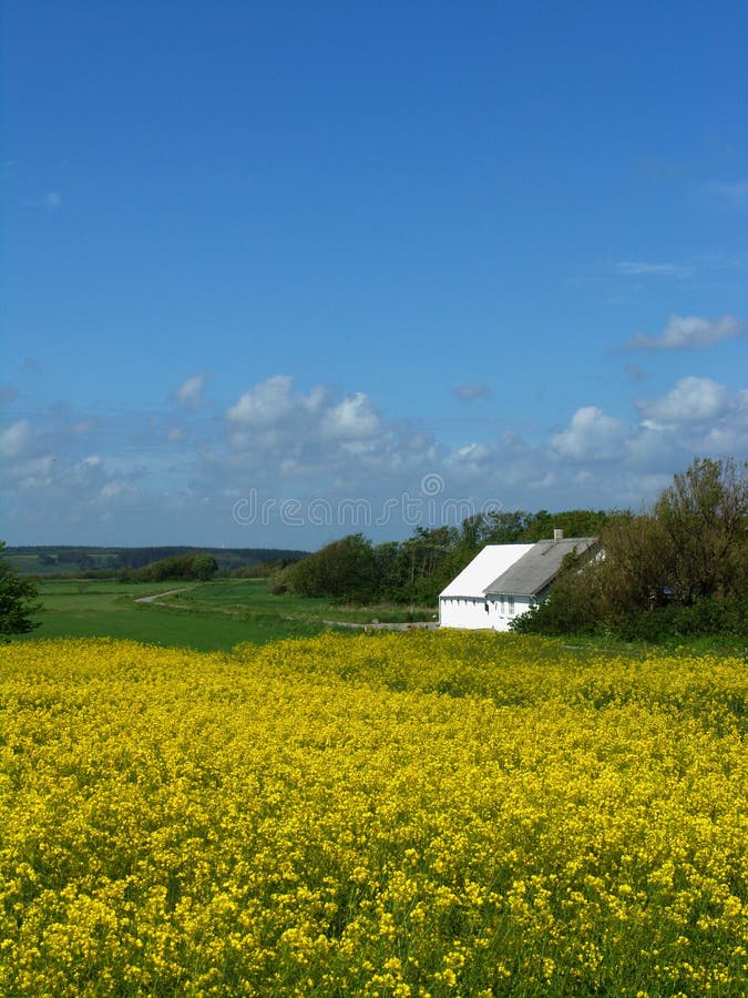 Old farm house stock photo. Image of farming, europe, crops - 135888