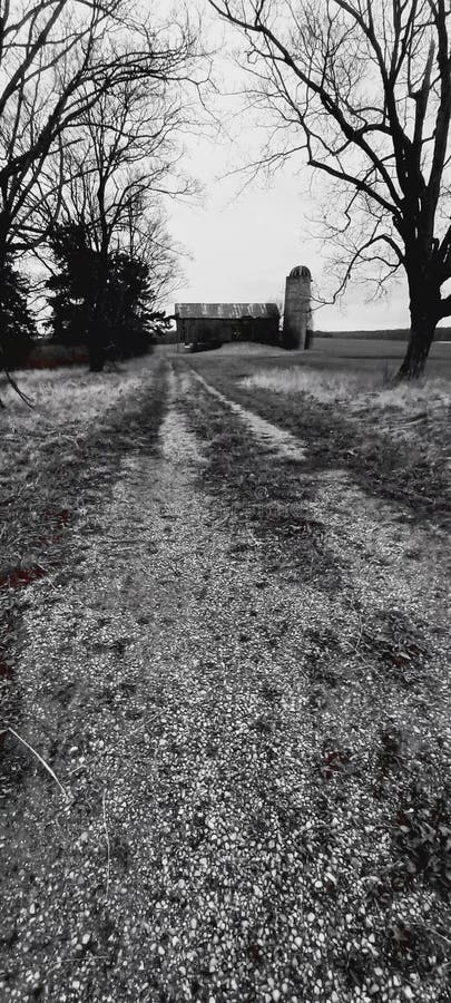 Old Farm Laneway stock photo. Image of silo, barn, laneway - 239155130