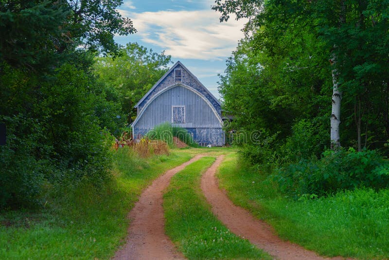 Old Farm Laneway stock image. Image of green, homestead - 158174811