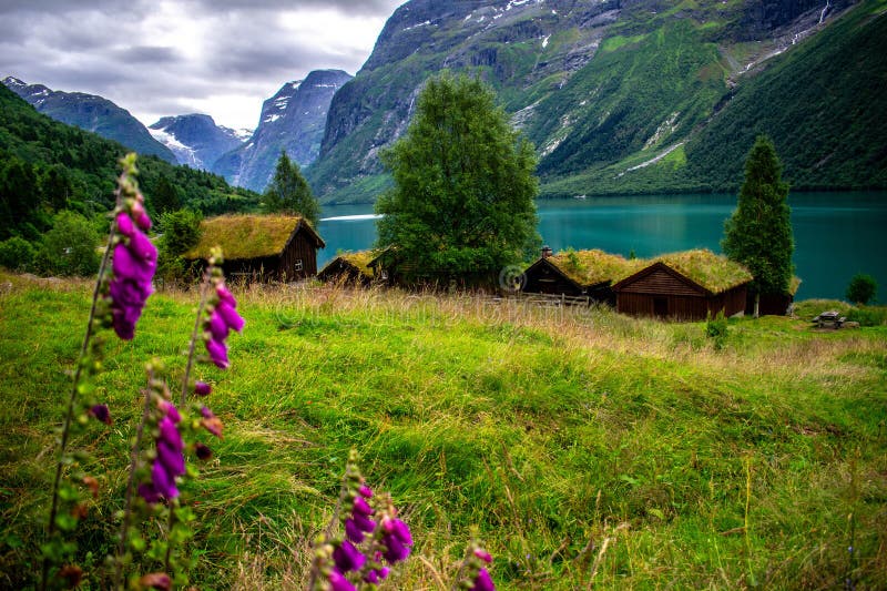 Old Farm Next To the Lovatnet Lake Stock Image - Image of trip ...