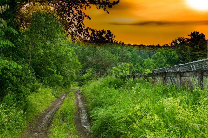 Aerial Farm Land stock photo. Image of farming, forked - 5072806