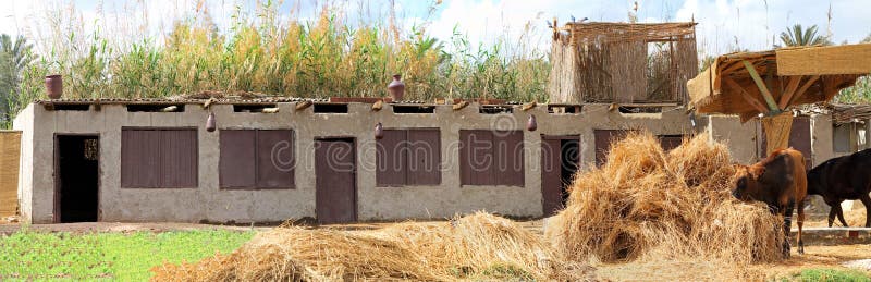 Old farm stable stock image. Image of livestock, barn - 28367261