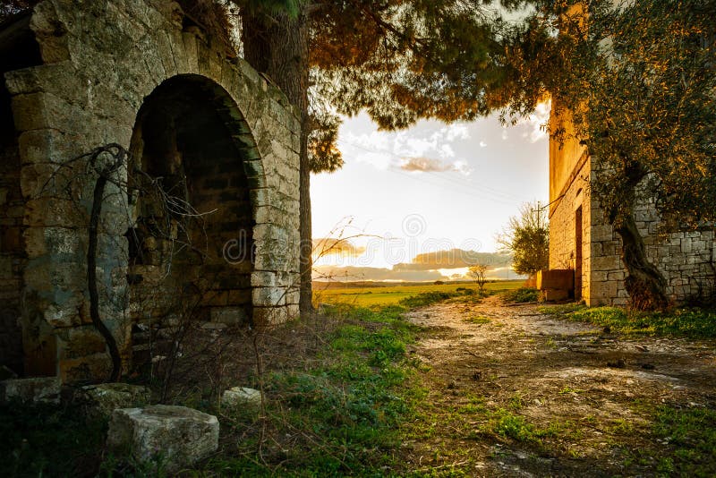 Old Farm at Sunset stock photo. Image of green, abandoned - 138574686