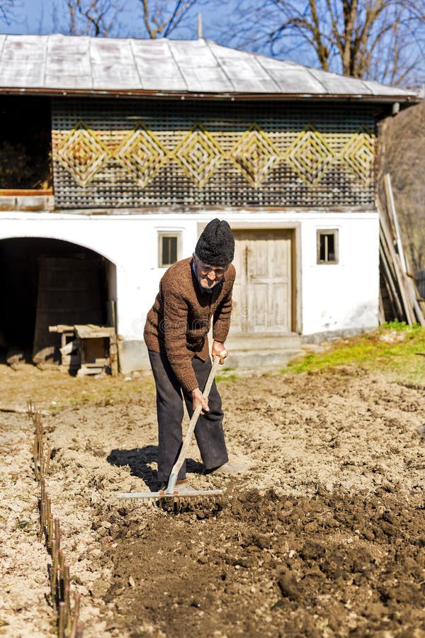Old Farmer with Rake Working Stock Photo - Image of land, farming: 52479956