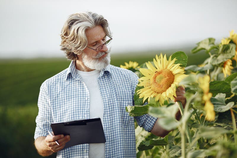 Old Farmer in Shirt Standing on Field with Notebook Stock Photo - Image ...