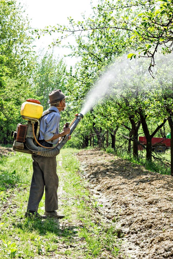 A Man is Spraying Herbicide Stock Photo - Image of sprayer, nature ...