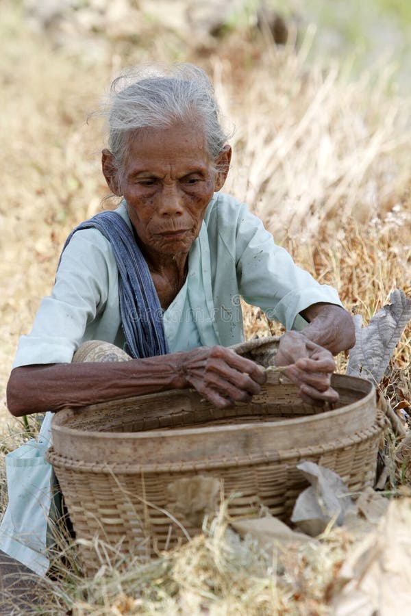 Old farmer editorial image. Image of farmer, central - 72940640