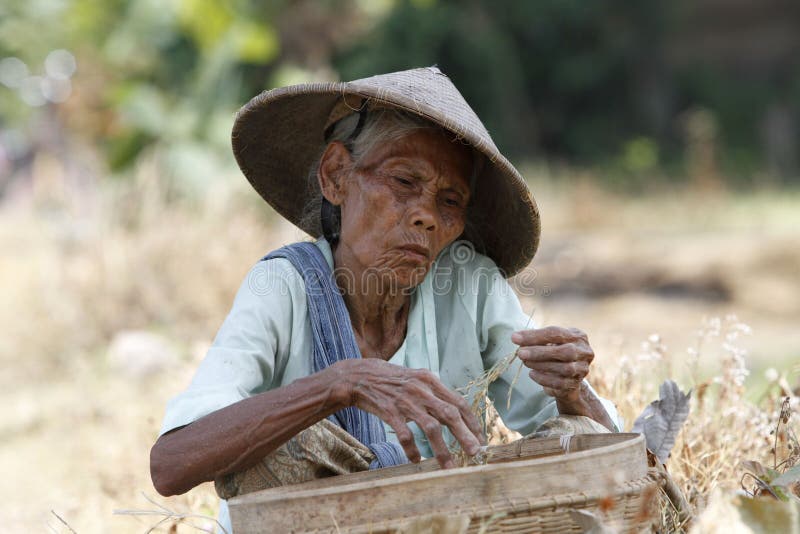 Old farmer editorial photography. Image of farmer, indonesia - 72941667