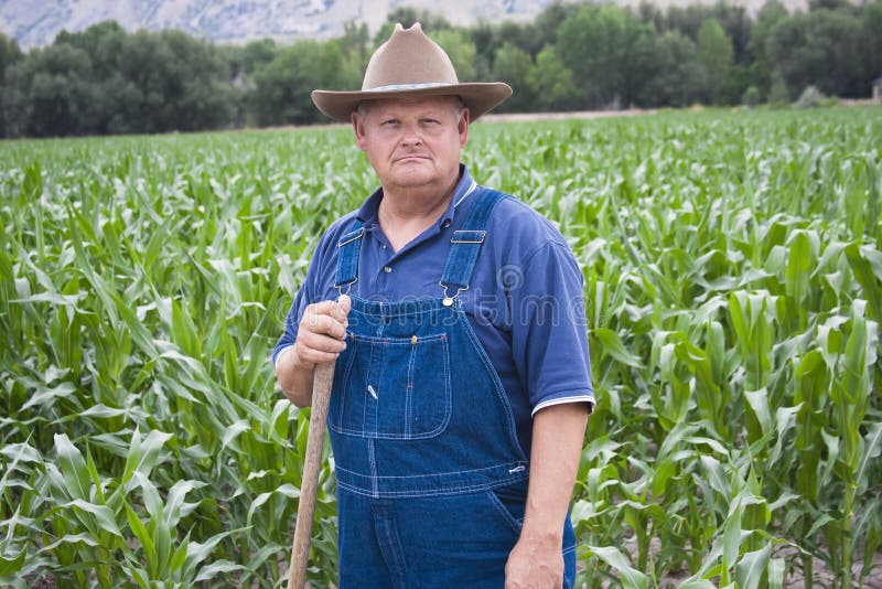 Old Farmer Working in His Fields Stock Photo - Image of looking ...
