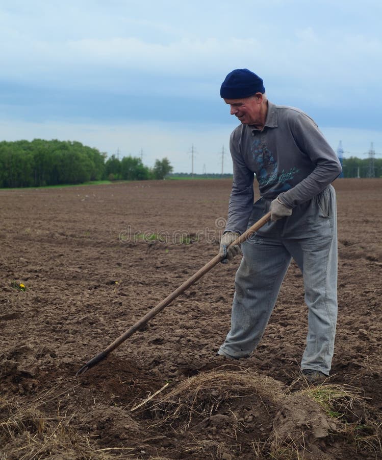 Old farmer stock image. Image of growth, garden, organic - 71689821