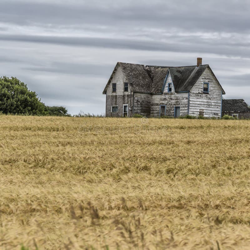 Old Farmhouse Landscape Ideas