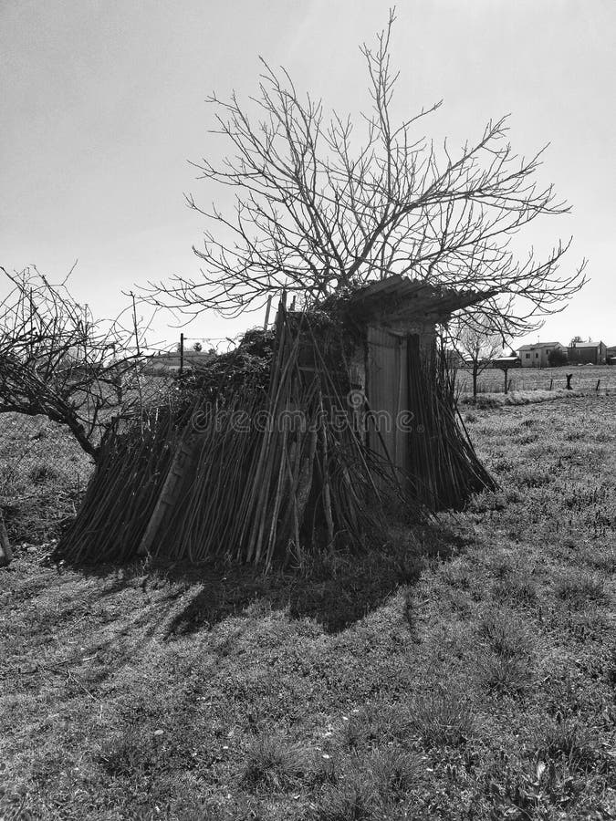 Old fashion way stock photo. Image of trunk, wall, sketch - 207931736