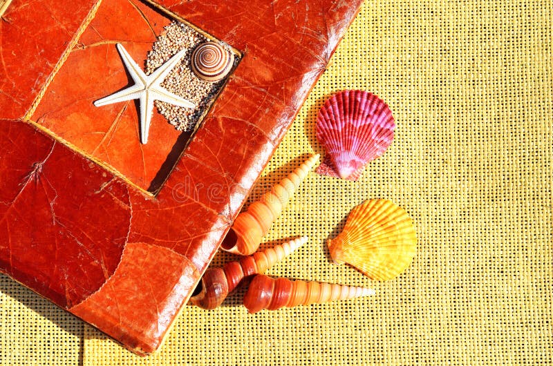 Colored Seashells Presented on a Sheet of Textured Paper Stock Photo ...