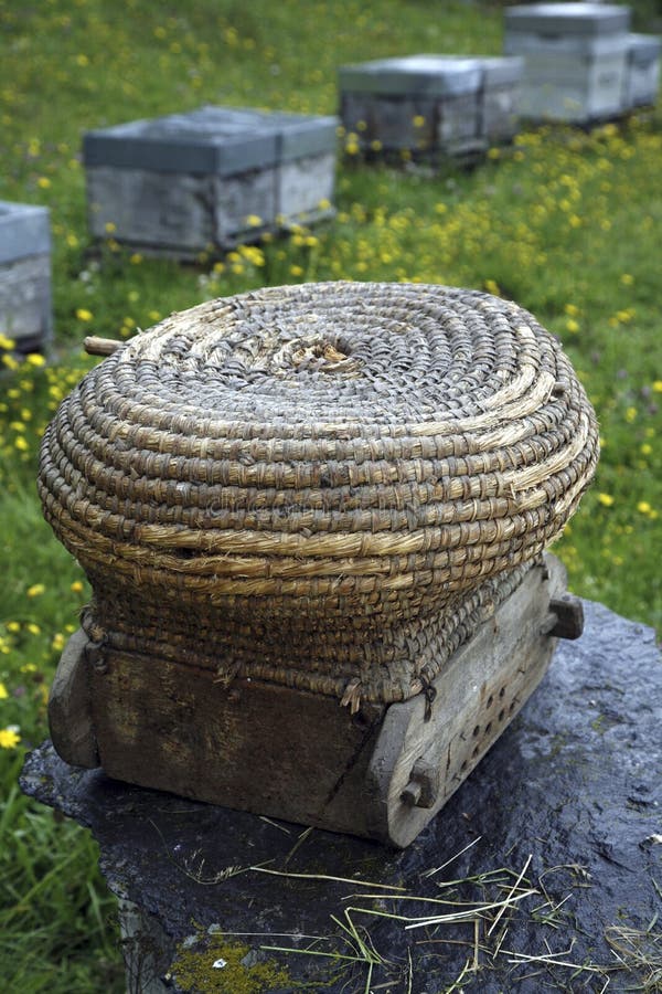 Old-Fashioned Beehive stock photo. Image of retro, history - 18770602