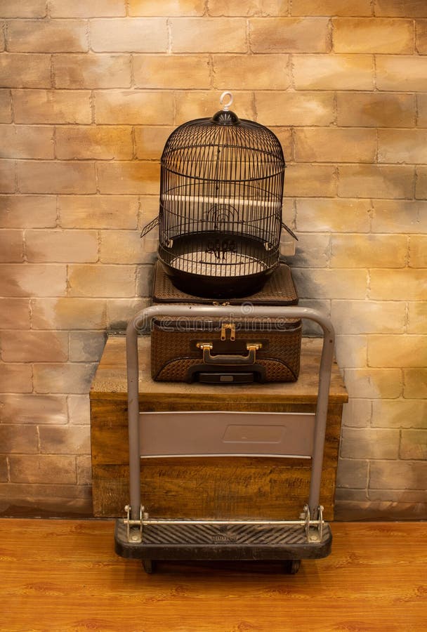 Old-fashioned Bird Cage on the Cases Stock Photo - Image of nature ...