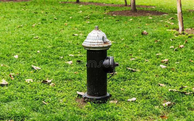 Old-fashioned fire hydrant stock image. Image of american - 202718283