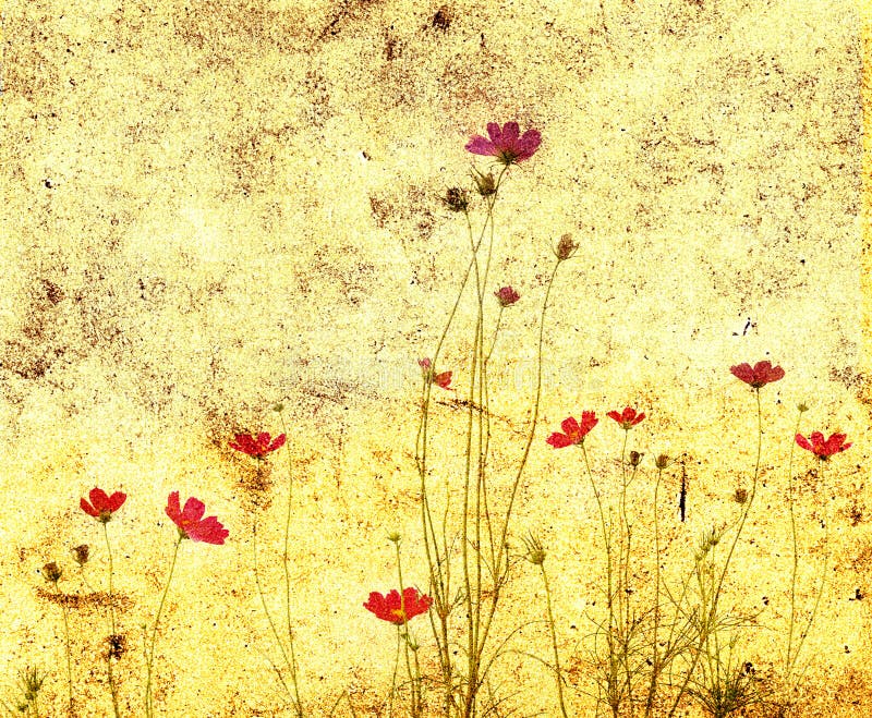 Old-fashioned flower stock illustration. Illustration of flower - 2885474