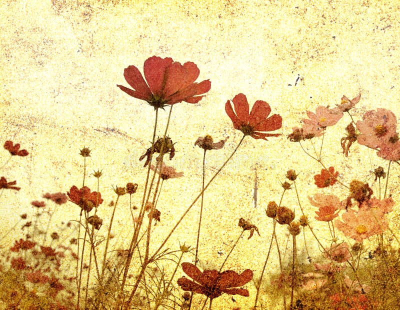 Old-fashioned flower stock image. Image of mottled, rotting - 5889923