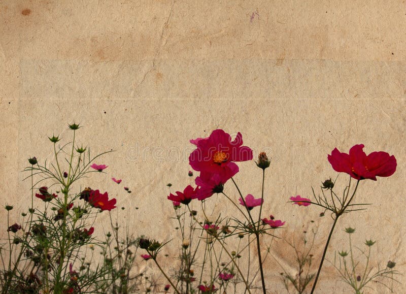 Old-fashioned flower stock illustration. Illustration of aged - 3947584