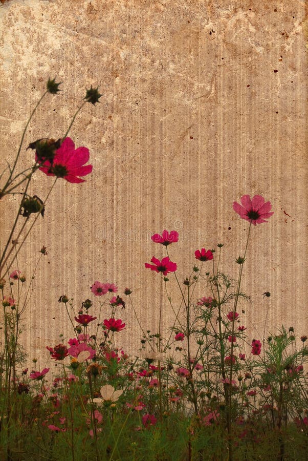 Old-fashioned flower stock illustration. Illustration of country - 4027249