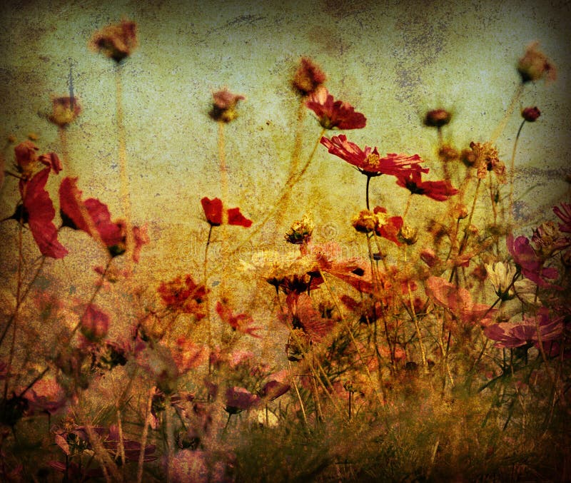 Old-fashioned flower stock image. Image of mottled, rotting - 5889923