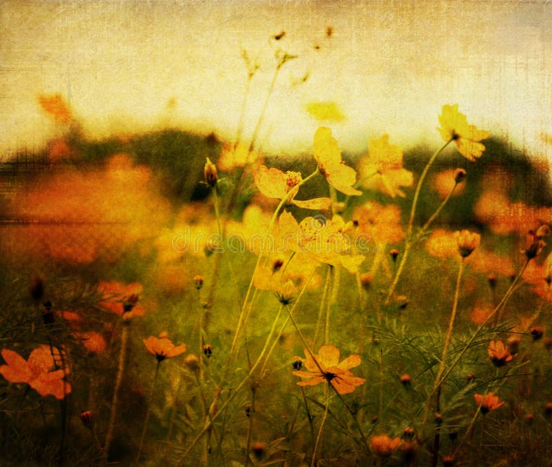 Old-fashioned flower stock image. Image of painterly, damaged - 5680557