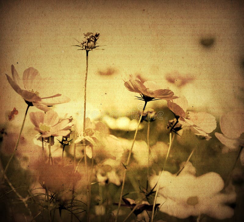 Old-fashioned flower stock image. Image of grunge, material - 5753823