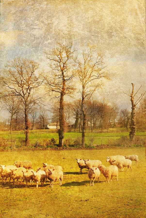 Old-fashioned landscape stock image. Image of detail, farming - 2818637