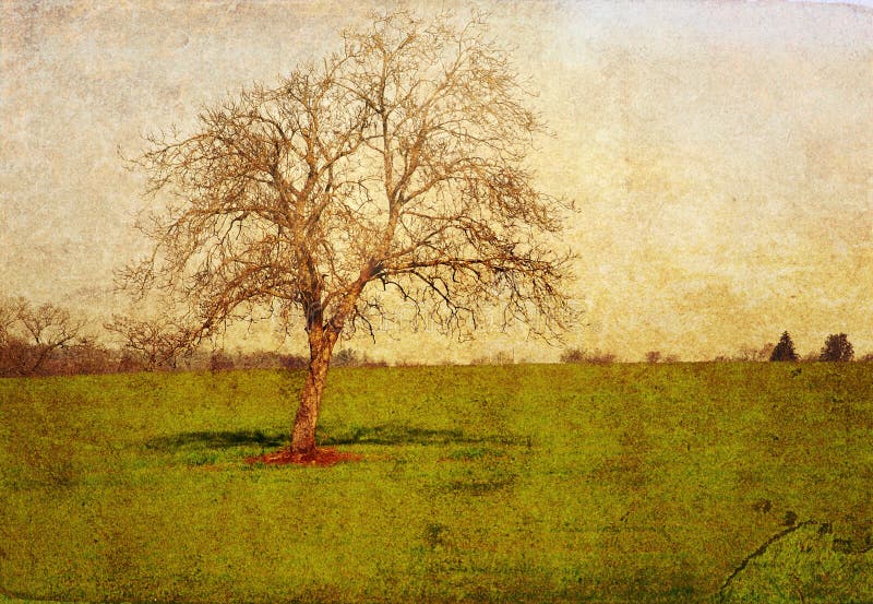 Old-fashioned landscape stock illustration. Illustration of field - 3150929