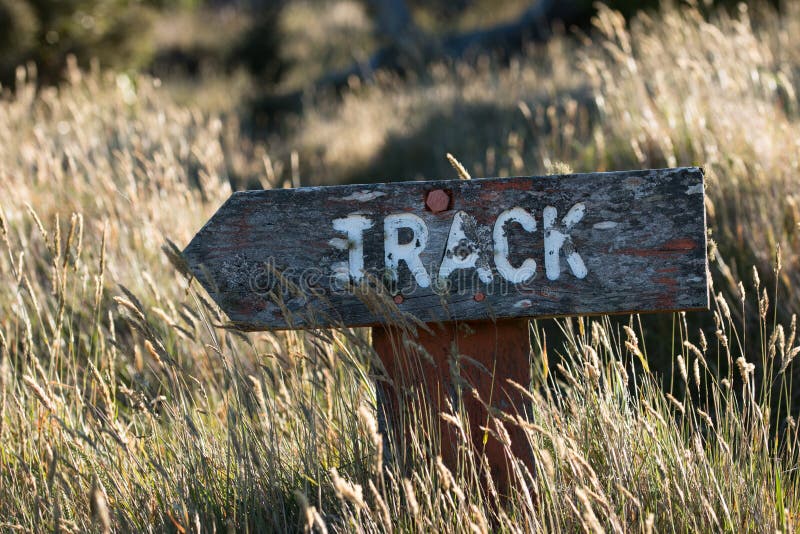 Old-fashioned Weathered Pointer for Track Stock Photo - Image of brown ...