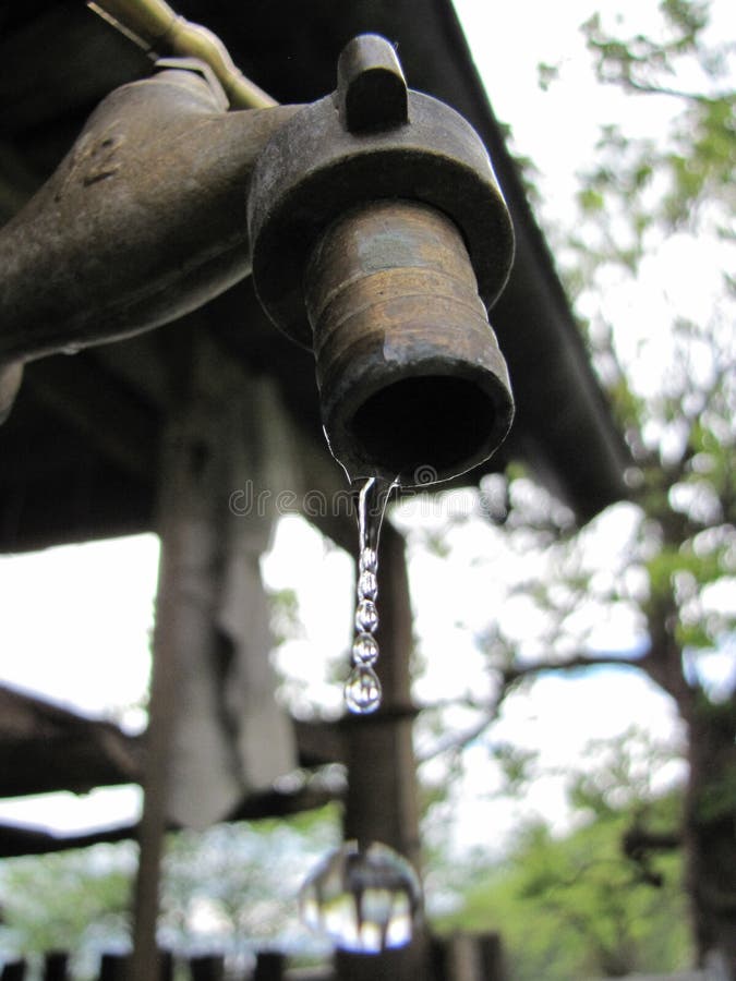 Old faucet with water drop stock photo. Image of garden - 54603746