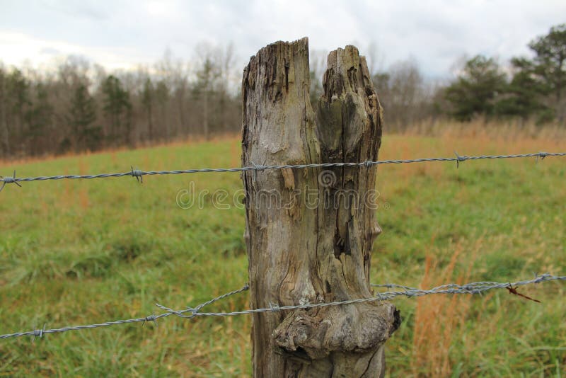 Old fence post stock photo. Image of tree, landscape - 64286850