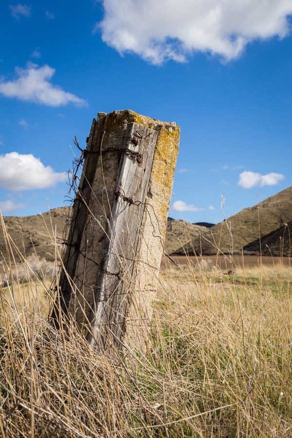 An Old Fence Post in Tall Grass Stock Image - Image of farm ...