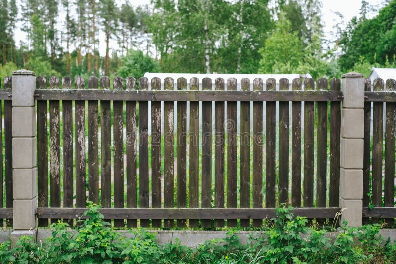 Old Privacy Fence stock image. Image of vines, grass - 10466961