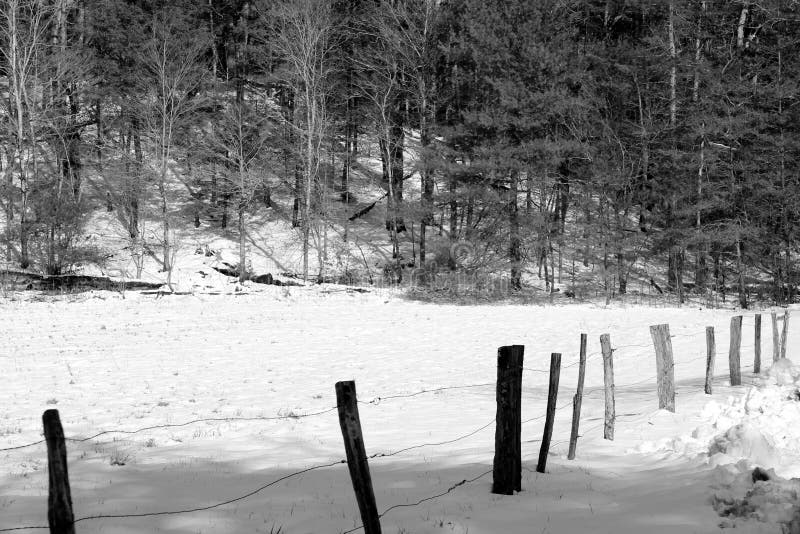 Old fence row stock photo. Image of field, beautiful - 51047260