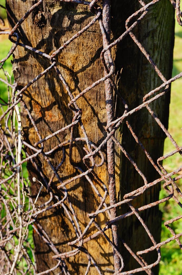 Old fence stock photo. Image of leaf, wildlife, fence - 44628386