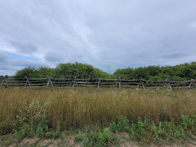 Old fence treeline stock photo. Image of wind, field - 226025580