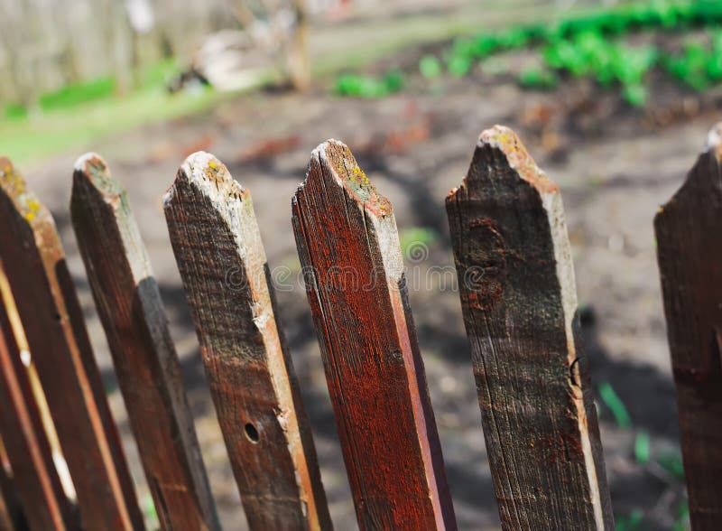 206 Old Decrepit Man Stock Photos - Free & Royalty-Free Stock Photos ...