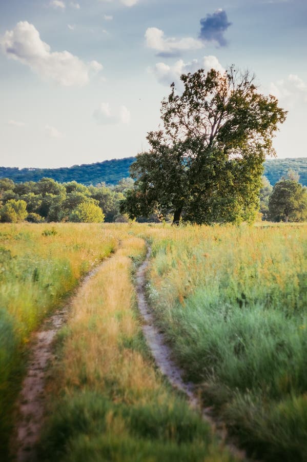 Old field road stock photo. Image of spectacular, beautiful - 95146666