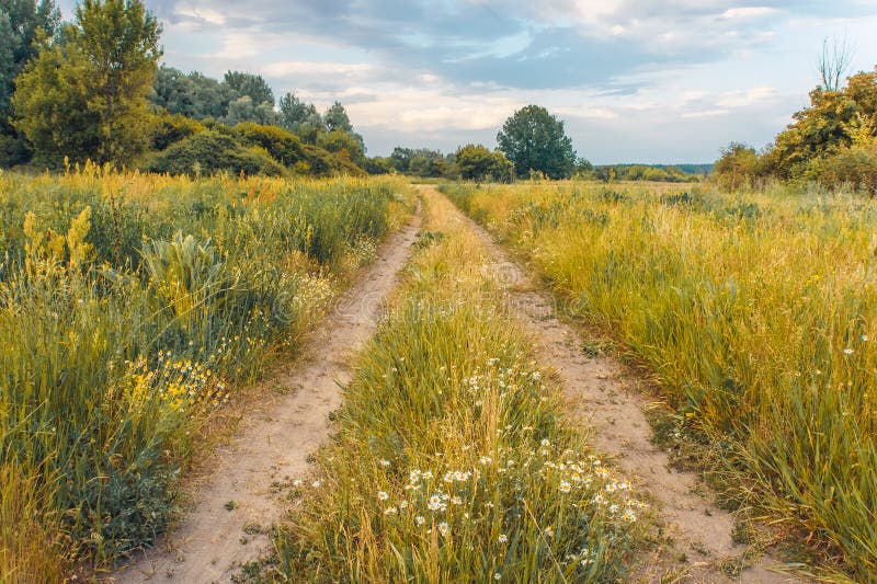 Old field road stock image. Image of flowers, cloud, horizon - 95147161
