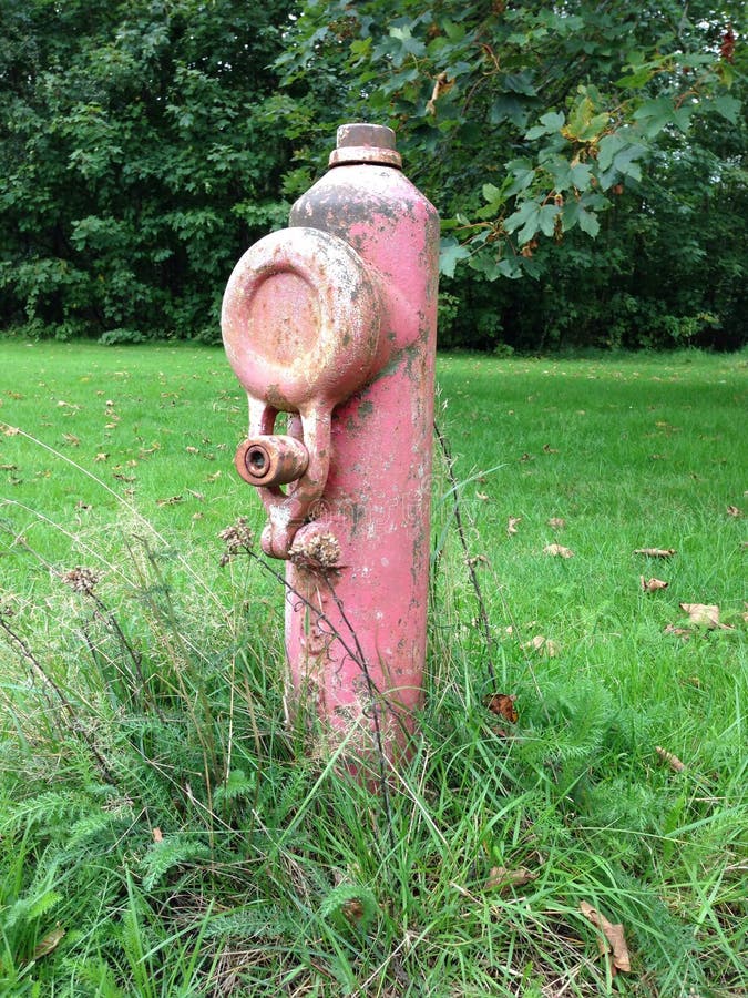 Old fire hydrant stock image. Image of grass, hydrant - 44056295