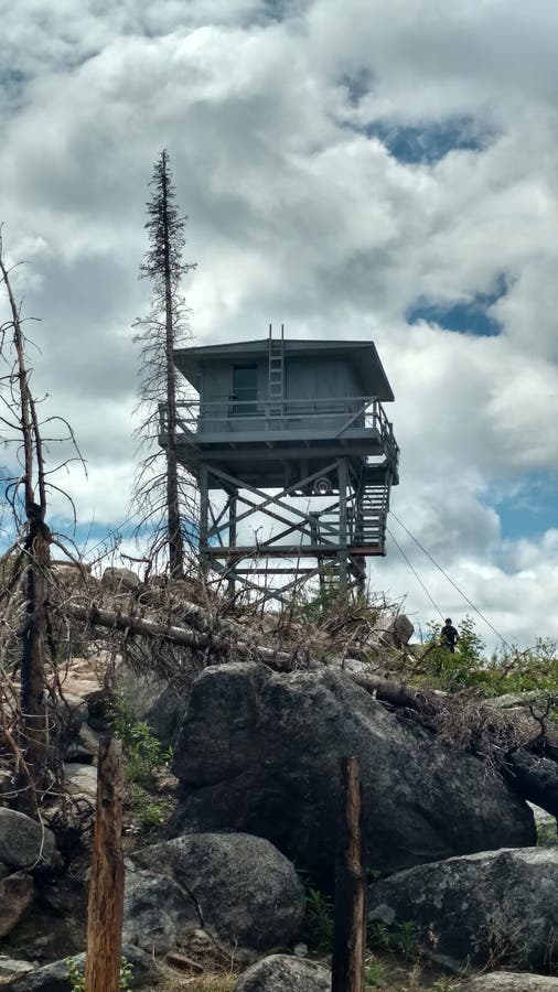 Burned trees and ash stock image. Image of complex, okanogan - 61307713