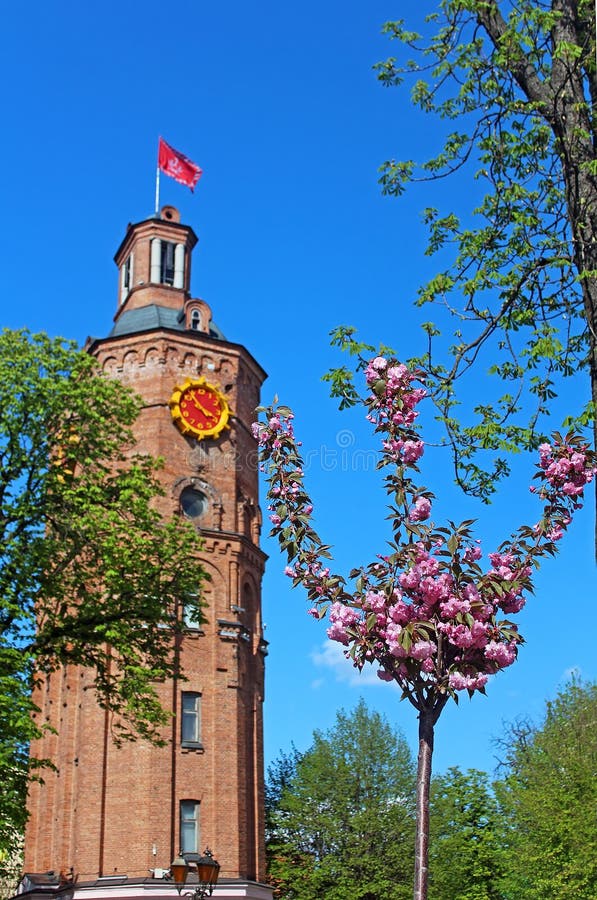 Old Fire Tower with Clock (1911) and Sakura Tree, Vinnytsia, Ukraine ...