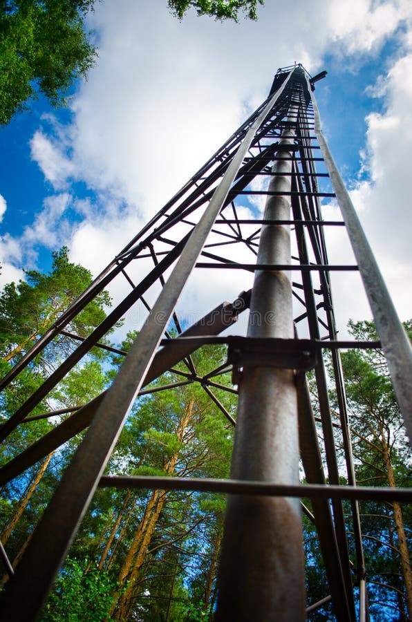 Old Fire Tower in the Forest Stock Photo - Image of scene, forest: 43538974