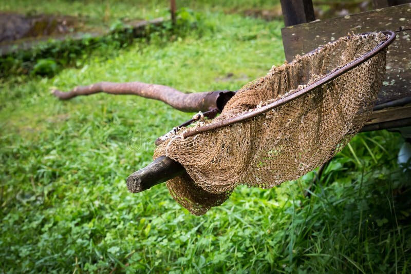 Old fish landing net stock photo. Image of white, trout - 58040926