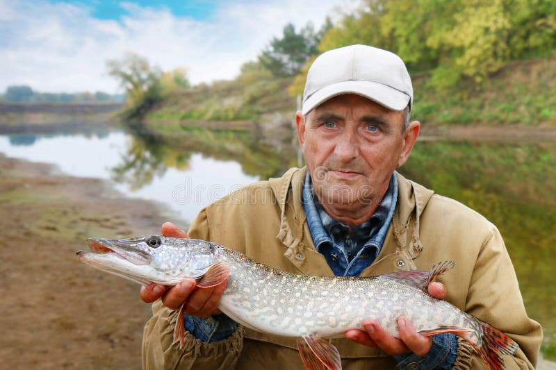 Old Fisherman and His Catch - Pike Stock Photo - Image of leisure ...