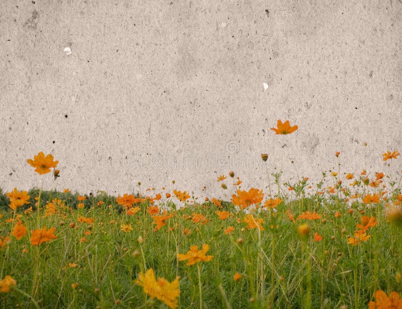 Old flower paper textures stock image. Image of background - 13053655