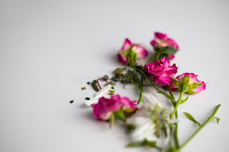 Old Flowers from a Bouquet. Making a Bouquet Stock Image - Image of ...